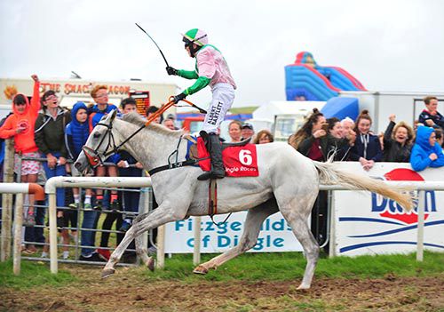 'What a horse!' - Taaffe wins Dingle Derby | irishracing.com