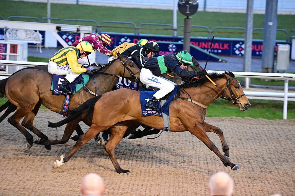 irishracing.com | News - Caffrey grabs winner for Byrnes on Miss Abby Jools