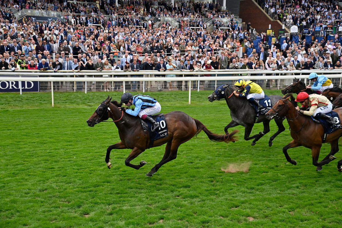Royal Ascot 2026 News - Dwyer banking on blinkers sparking Asfoora ...