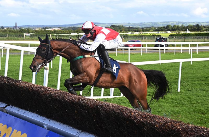 Wild Bill Hickok upsets short priced jolly | irishracing.com