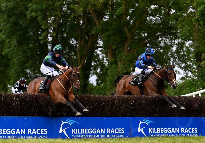 Ol Man Dingle defies topweight to land Galway Plate Trial | irishracing.com